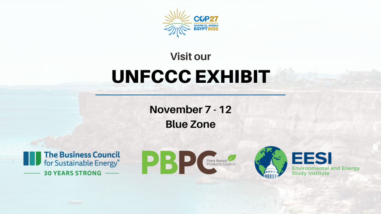 COP 27 - The Business of Sustainable Energy