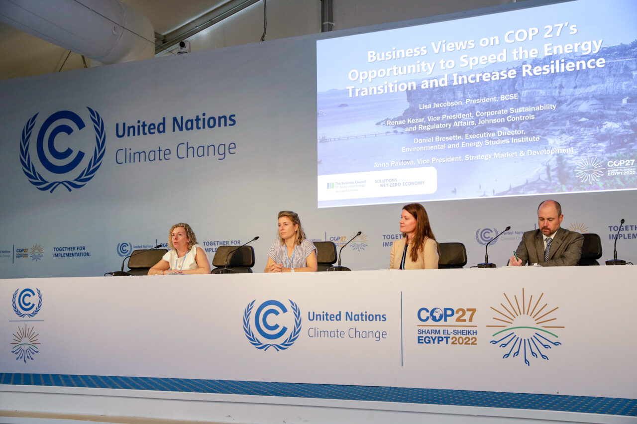 COP 27 Reflections: Partnership as the Keystone to Success - Business ...