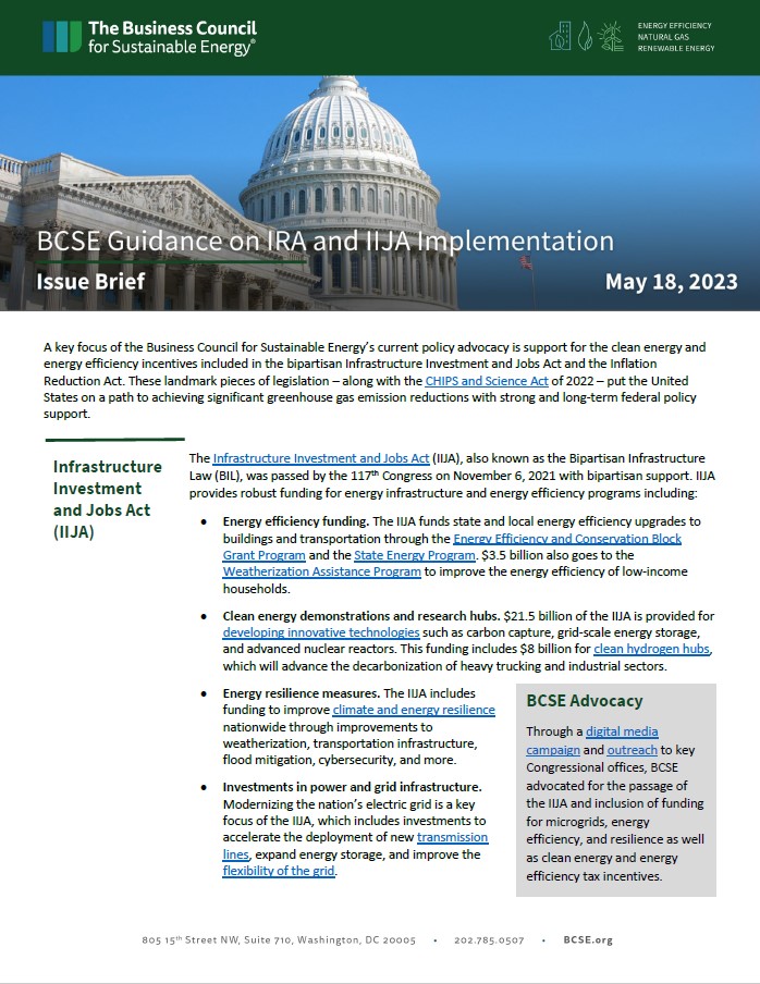 Member Issue Briefs - The Business of Sustainable Energy