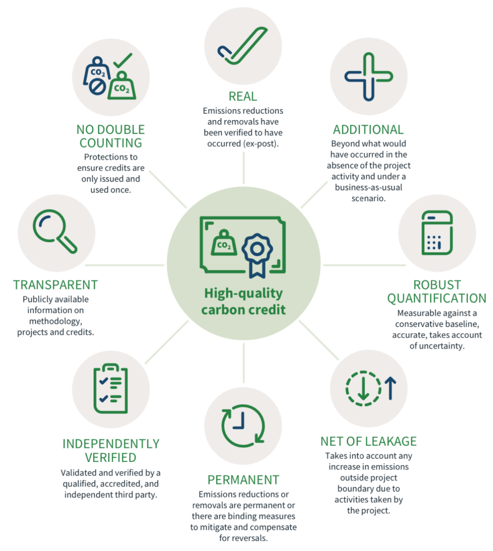 Elements of a High-Quality Carbon Credit - Business Council for ...