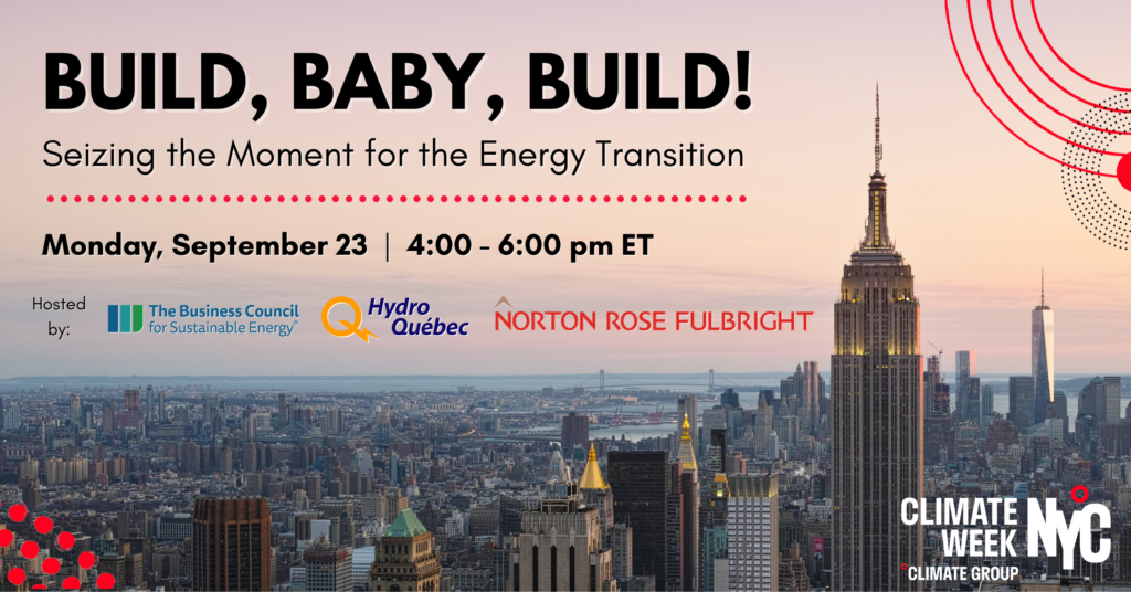 Build, Baby, Build! Seizing the Moment for the Energy Transition - The ...