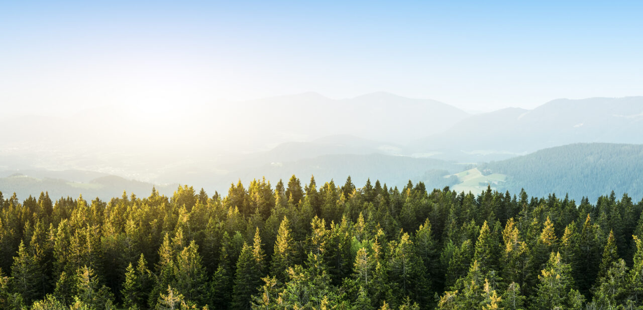 BCSE Calls for Strengthened Market-Based Accounting Options in ...