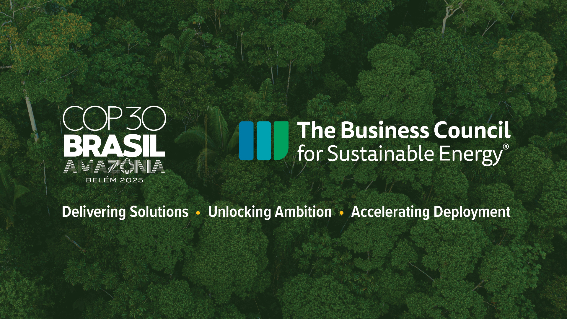 COP 30 Launches New Era of Action in Support of Paris Agreement Goals - Business Council for ...