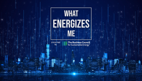 What Energizes Me: Carbonvert on Carbon Capture and Storage - Business ...